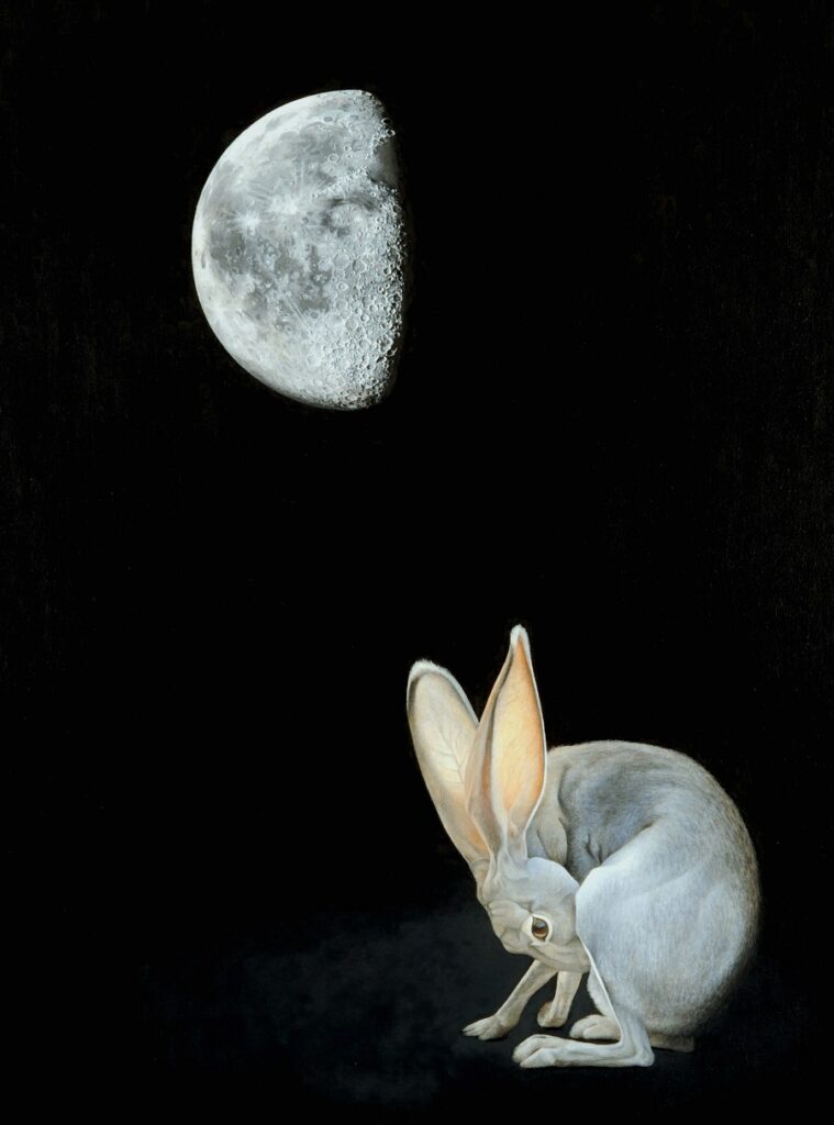 Der Mond / Sehnsucht, Kunst und Wissenschaft im NHM | Redaktion ...