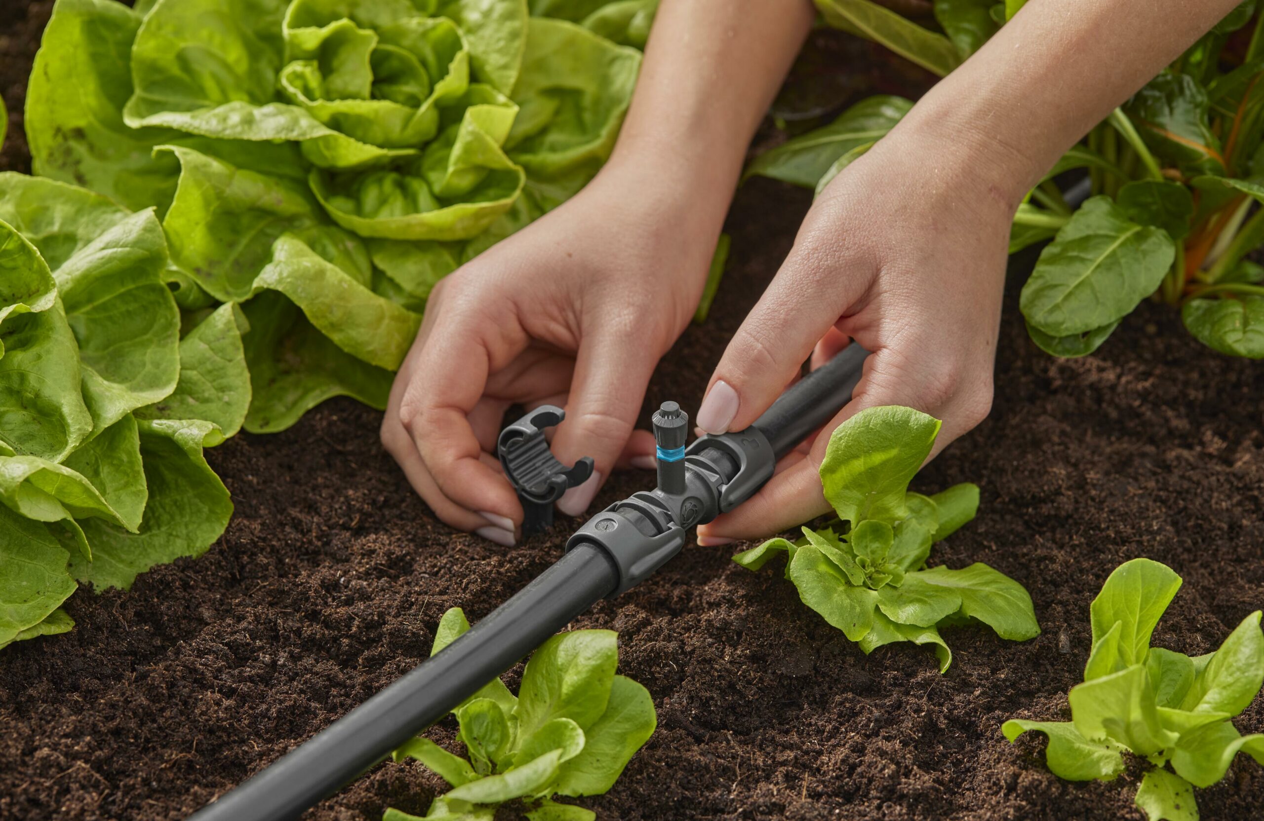 Ressourcenschonende Bewässerung mit GARDENA | Redaktion ...